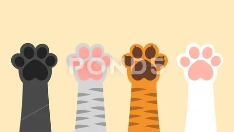 Set of different colors cats paws up. Vector illustration. Illustration ...
