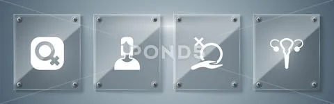 Set Female reproductive system, gender, and . Square glass panels ...