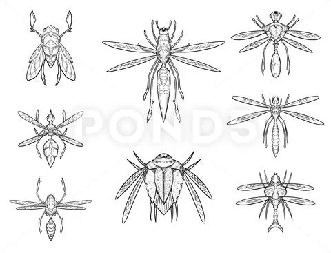 Set of Hand Drawn Cartoon Vector Alien Insect designs Illustration ...
