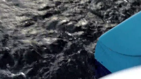 Under Marine Starting Stock Footage ~ Royalty Free Stock Videos | Pond5