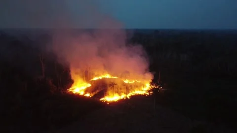 More To More Stock Videos – Royalty-Free HD & 4K Videos | Pond5