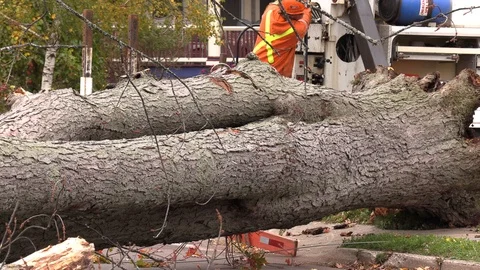 Severe wind storm damage to power lines ... | Stock Video | Pond5