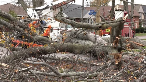 Severe wind storm damage to power lines ... | Stock Video | Pond5