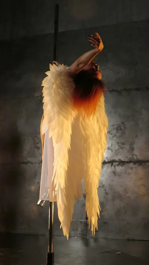 Sexy Poly Stock Videos – Royalty-Free HD & 4K Videos