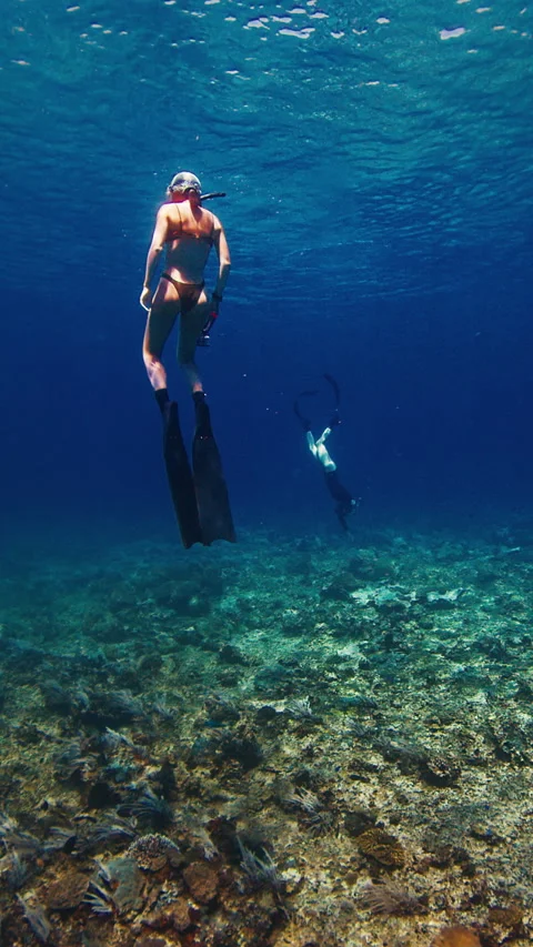 Sexy Woman Freel Stock Videos – Royalty-Free HD & 4K Videos | Pond5