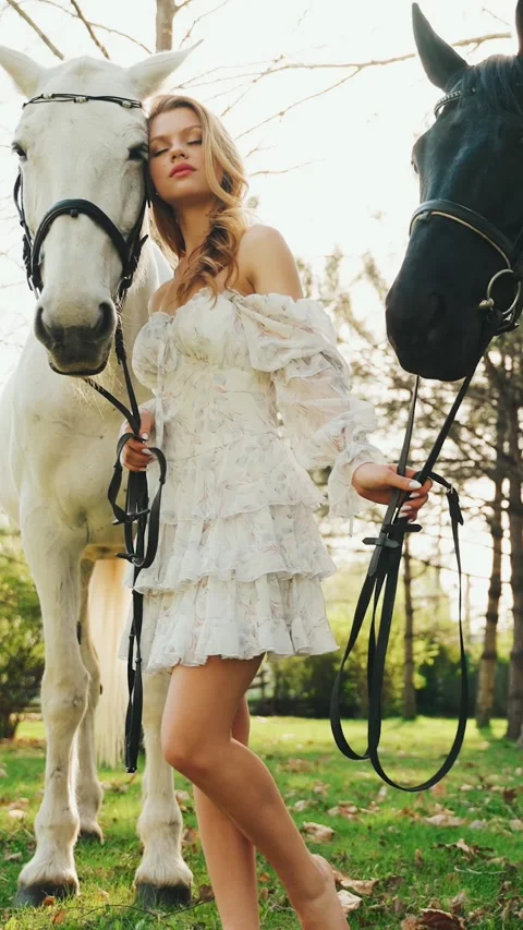 Gorgeous Horse Stock Videos – Royalty-Free HD & 4K Videos | Pond5