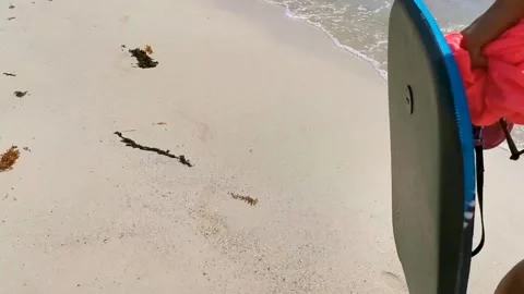 Fish Sexy Stock Videos – Royalty-Free HD & 4K Videos