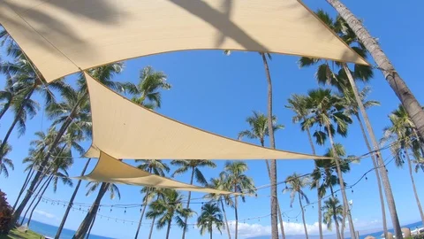 Shade sails and palm trees provide shade... | Stock Video | Pond5