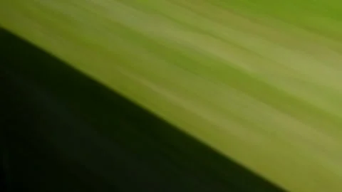 Flashing Shadow Stock Video Footage | Royalty Free Flashing Shadow ...
