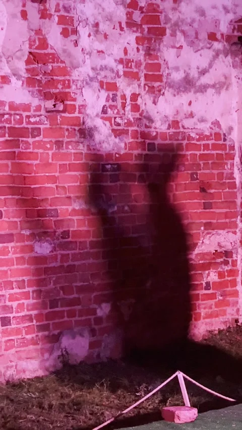 Shadow of couple kissing on illuminated ... | Stock Video | Pond5