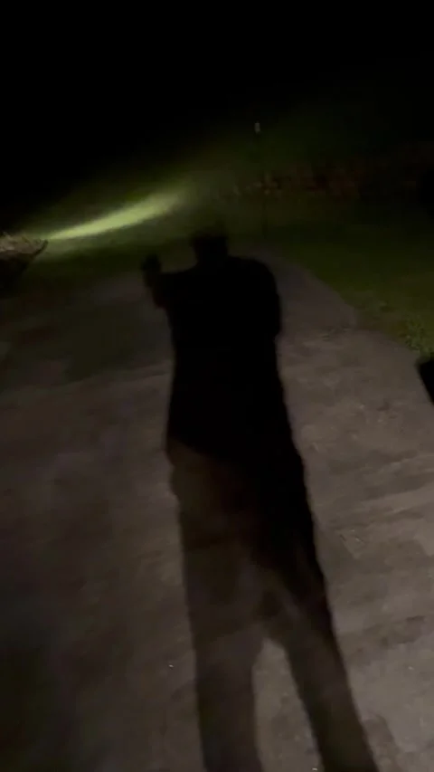 Shadow Figure Stock Footage ~ Royalty Free Stock Videos | Pond5