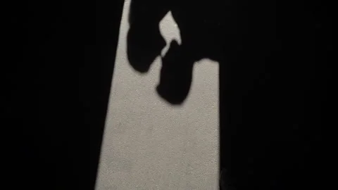 Shadow on the ground r of couple in love... | Stock Video | Pond5