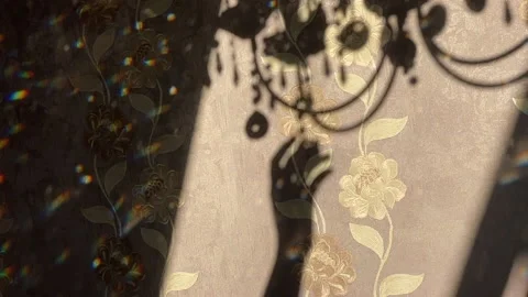 Prism Handb Stock Videos – Royalty-Free HD & 4K Videos