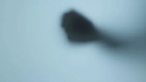 Knock On Window Stock Videos – Royalty-Free HD & 4K Videos