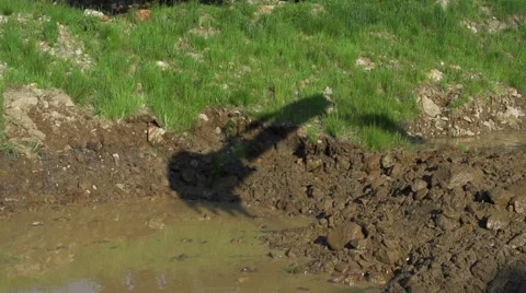 Backhoe Shadow Stock Video Footage | Royalty Free Backhoe Shadow Videos ...