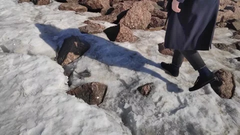 Shadow The He Stock Videos – Royalty-Free HD & 4K Videos | Pond5