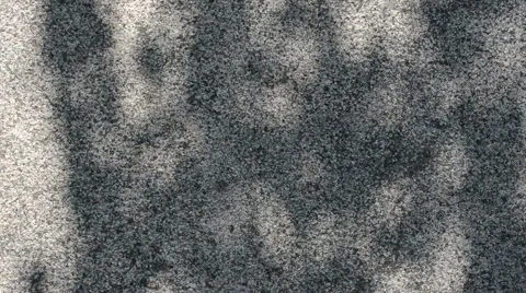 Shadow of moving tree branch on stone te... | Stock Video | Pond5