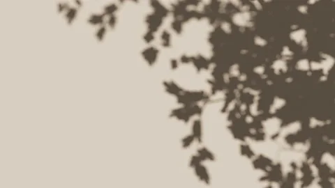 Shadow of moving tree leaves on the wall... | Stock Video | Pond5