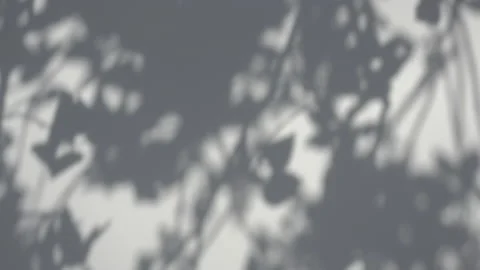 Shadow overlay effect. Blurred shadows o... | Stock Video | Pond5
