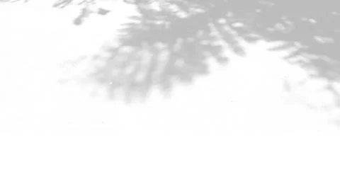 Shadow Effect Stock Videos – Royalty-Free HD & 4K Videos | Page 3