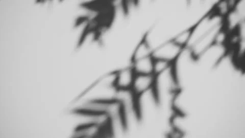 Shadow Effect Stock Videos – Royalty-Free HD & 4K Videos | Page 4