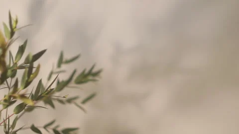 Shadow Overlay Wall Stock Videos – Royalty-Free HD & 4K Videos | Pond5