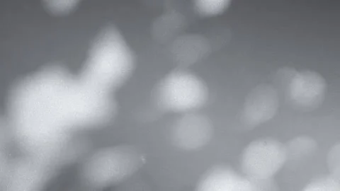 Shadow Overlay Wall Stock Videos – Royalty-Free HD & 4K Videos | Pond5