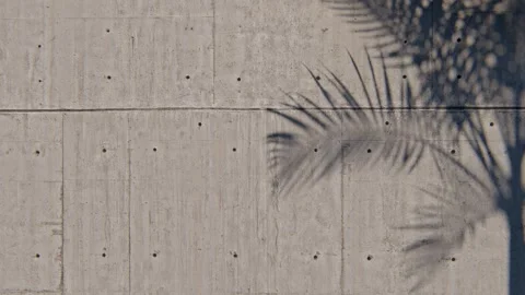 Wall Texture Overlay Stock Videos – Royalty-Free HD & 4K Videos