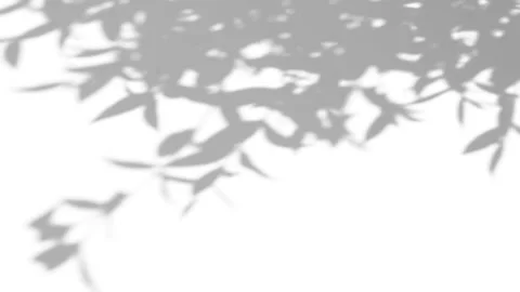 shadow palm leaves in wind overlay on a ... | Stock Video | Pond5