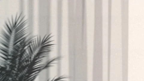 Shadow play animation overlay effect on ... | Stock Video | Pond5