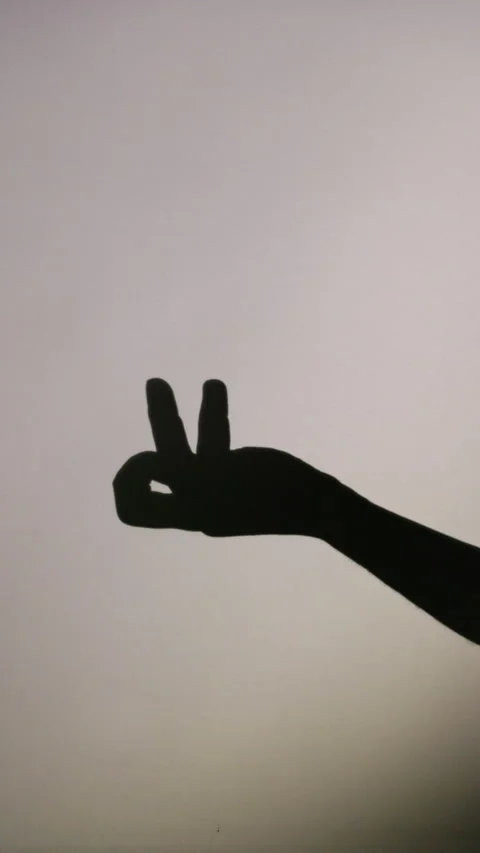 Shadow puppetry hand movements on plain ... | Stock Video | Pond5