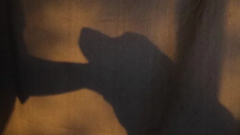 Hugging A Shadow Stock Video Footage | Royalty Free Hugging A Shadow ...