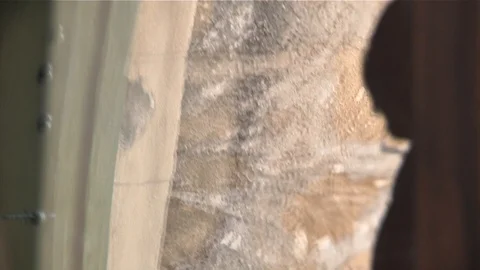 Shadow The He Stock Videos – Royalty-Free HD & 4K Videos | Pond5