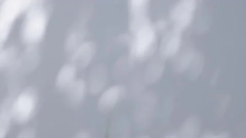 shadows leaf in wind blowing overlay on ... | Stock Video | Pond5