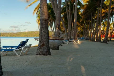 Waters Edge Stock Photos & Images ~ Royalty Free Images | Page 9