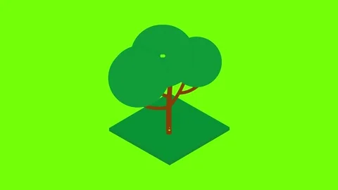 Shady Tree Stock Videos – Royalty-Free HD & 4K Videos