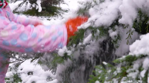 Shake Off Snow Stock Footage ~ Royalty Free Stock Videos | Pond5