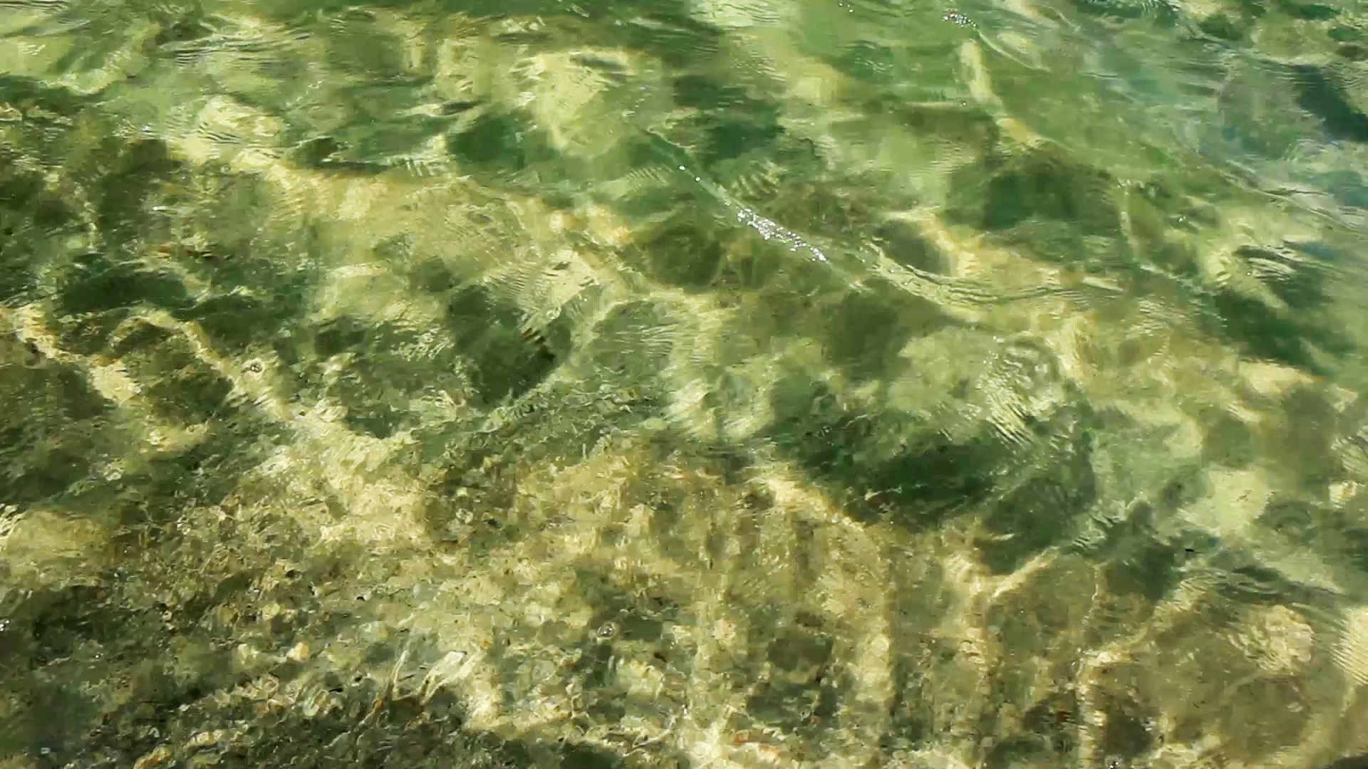 Shallow Water Texture