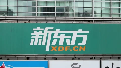 School 13 Stock Videos – Royalty-Free HD & 4K Videos