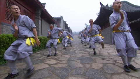 Speed Kung Fu Stock Video Footage | Royalty Free Speed Kung Fu Videos ...