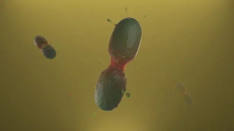 Shaped virus cells realistic animation r... | Stock Video | Pond5