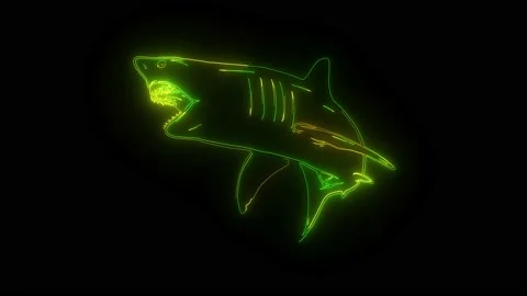 Shark Swimming Video Stock Videos – Royalty-Free HD & 4K Videos | Page 3