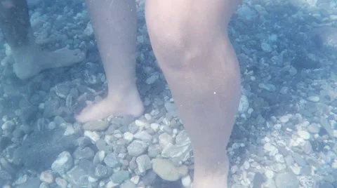 Attack Shark 8K Stock Videos – Royalty-Free HD & 4K Videos