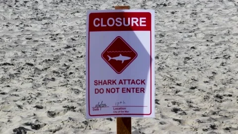 Shark Warning Stock Footage ~ Royalty Free Stock Videos | Pond5