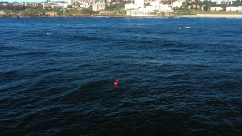 Shark drum line in Bondi bay, Sydney Aus... | Stock Video | Pond5