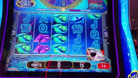 Shark Sound Stock Video Footage | Royalty Free Shark Sound Videos | Pond5