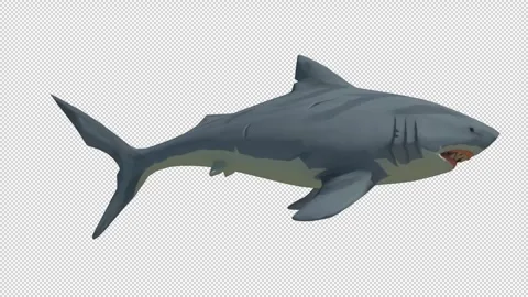 Cartoon Shark Stock Video Footage | Royalty Free Cartoon Shark Videos ...