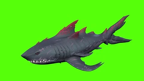 Shark Swimming Green Screen Animation 3D... | Stock Video | Pond5