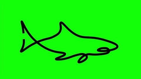 Shark Swimming on green screen animation... | Stock Video | Pond5