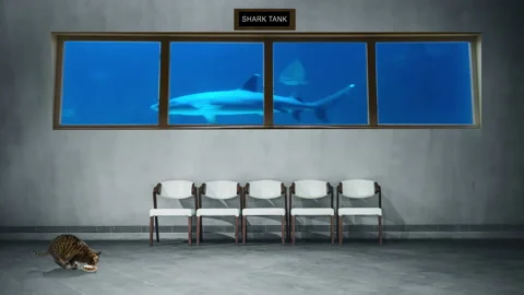 Shark Tank Window View Room Interior, Sh... | Stock Video | Pond5